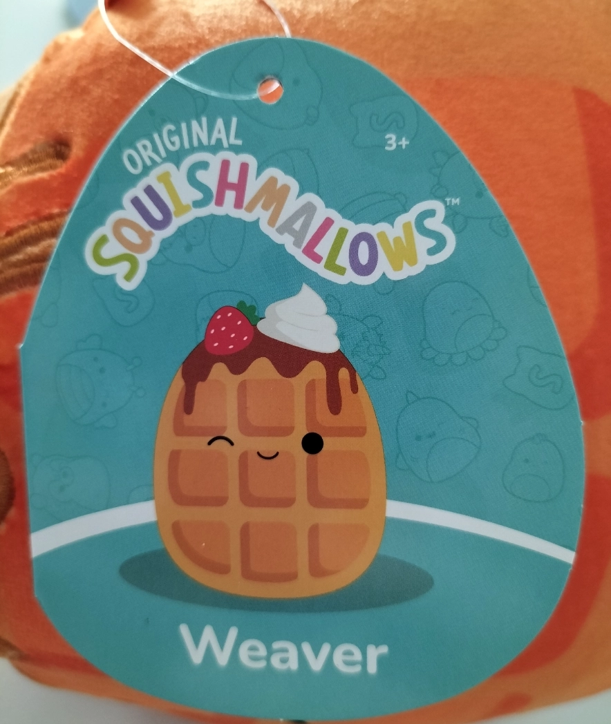 Weaver the Waffle Squishmallows 5B 5.26.24 | SquadApp