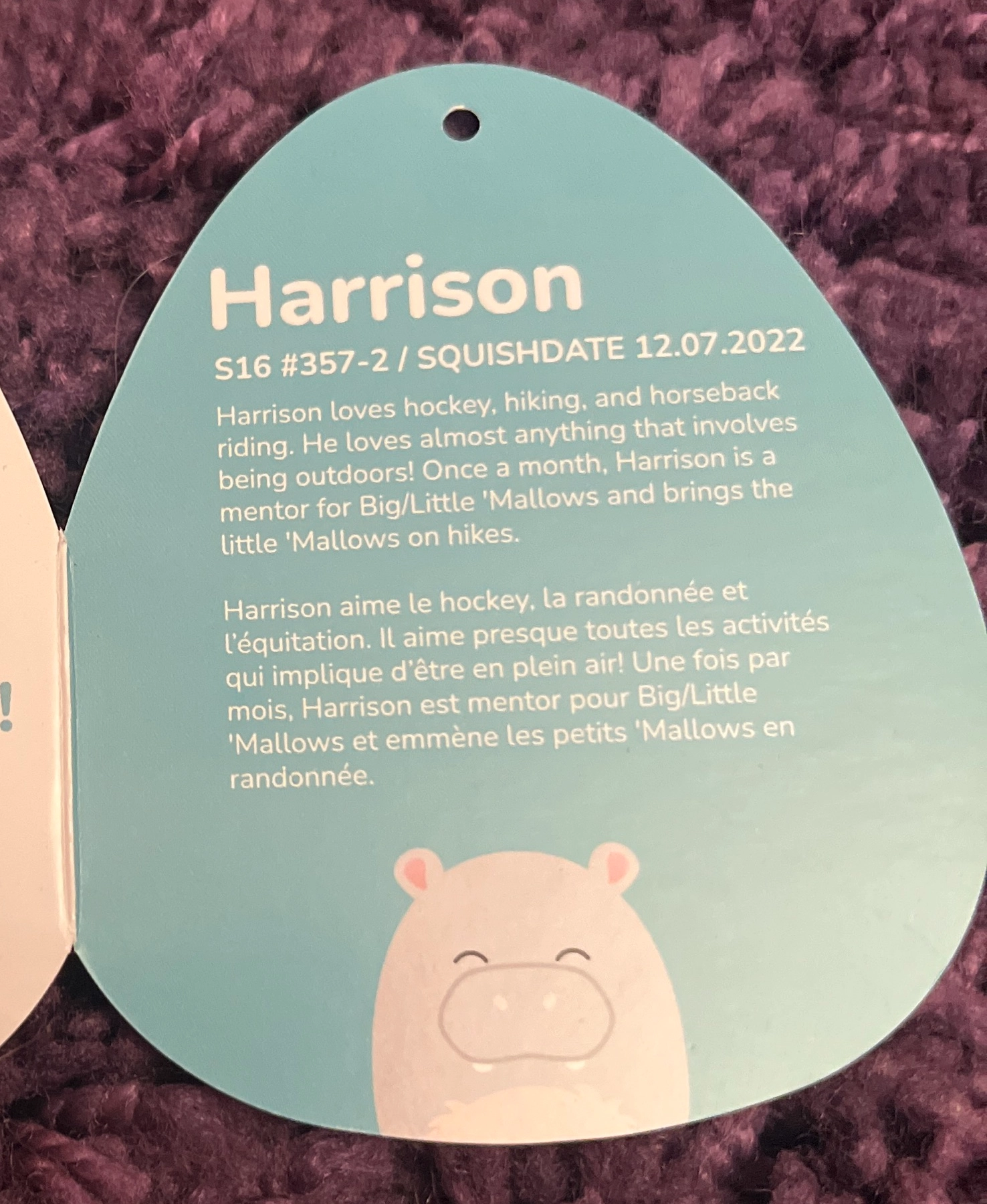 Harrison the Hippo Squishmallows Wildlife, Zoo | SquadApp