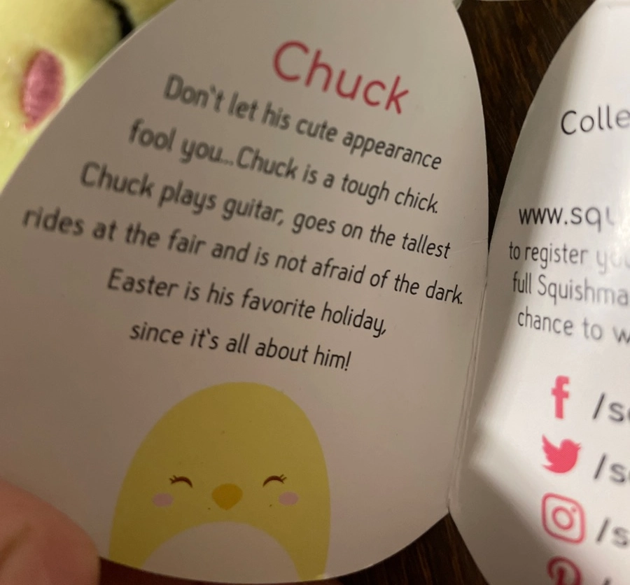 Chuck the Chick Squishmallows Easter | SquadApp