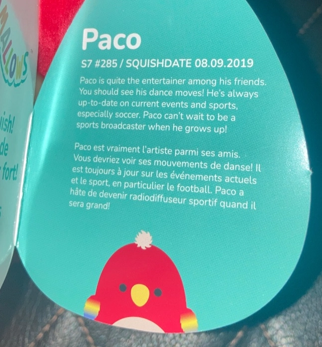 Paco the Parrot Squishmallows Bird,Wildlife,Zoo | SquadApp