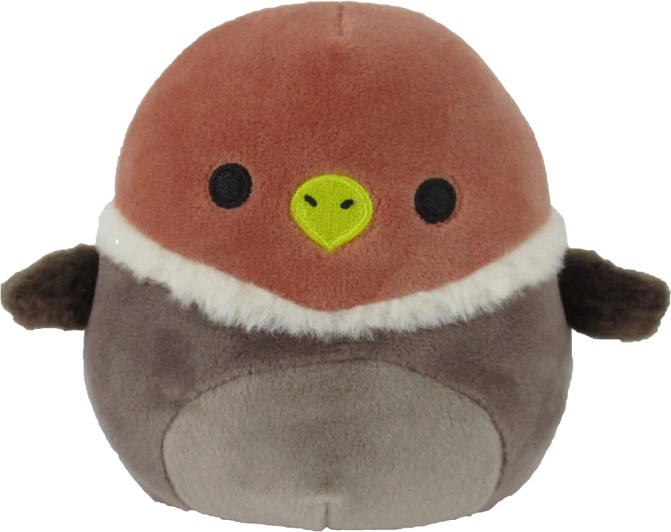 Asley the Vulture Squishmallows Desert | SquadApp