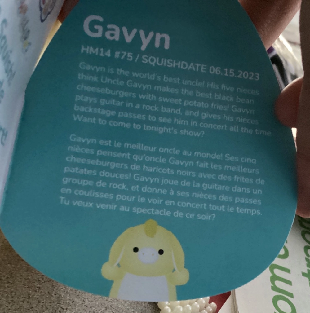 Gavyn (Hug Mees) the Donkey Squishmallows | SquadApp