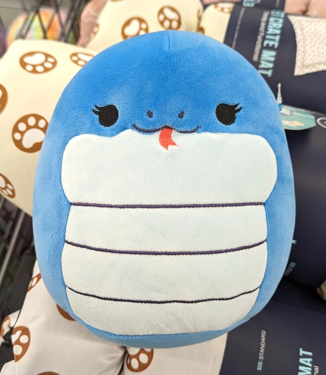 Vermicelli the Snake Squishmallows Cottagecore, 5B 11.19.23 | SquadApp
