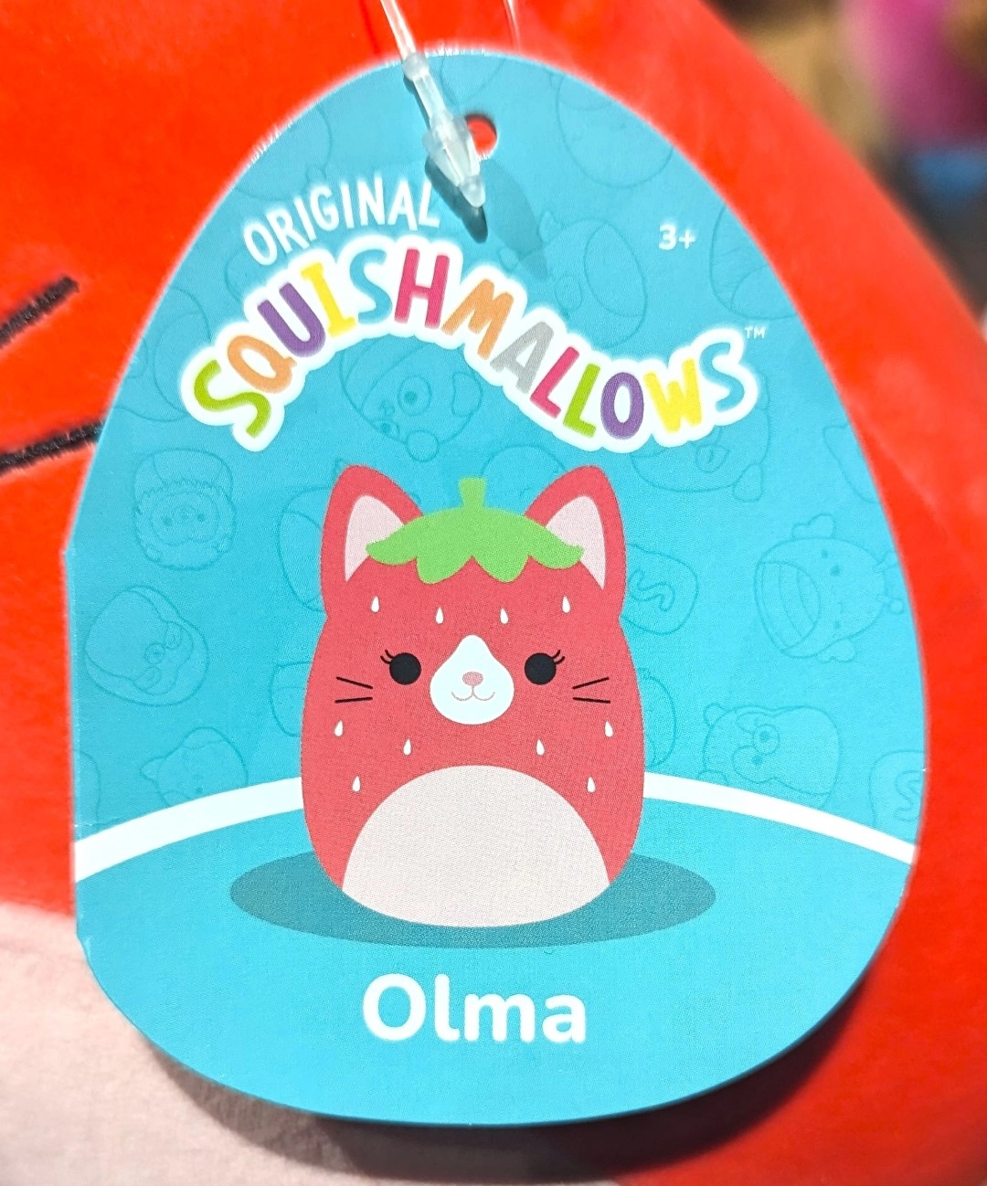 Olma the Strawberry Cat Squishmallows Fruit Animals | SquadApp