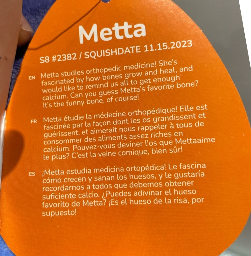 Metta (Celestial) the Cat Squishmallows Halloween 2024 | SquadApp