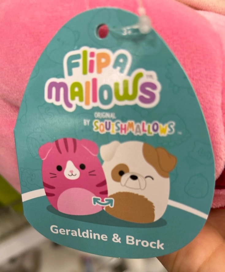 Geraldine & Brock the Scottish Fold Cat Bulldog (Dog) Squishmallows ...