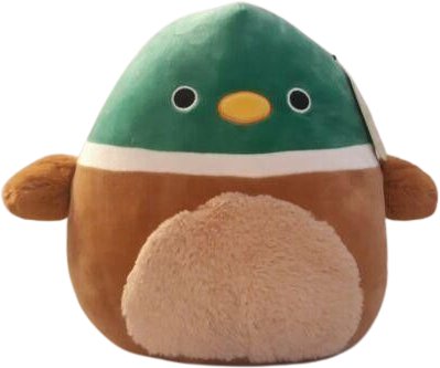 Avery (Fuzzy Belly) the Duck Squishmallows | SquadApp