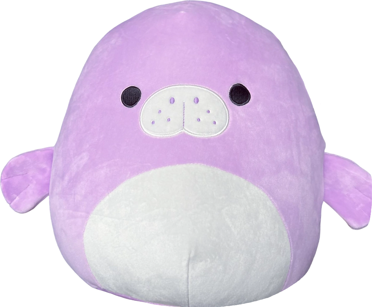 Marius the Manatee Squishmallows Sealife | SquadApp