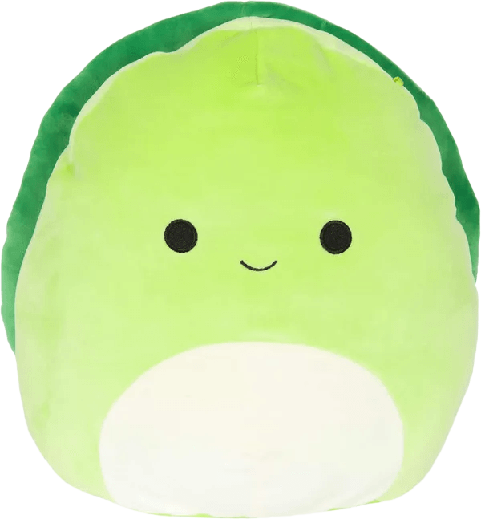 Henry the Turtle Squishmallows Sealife | SquadApp