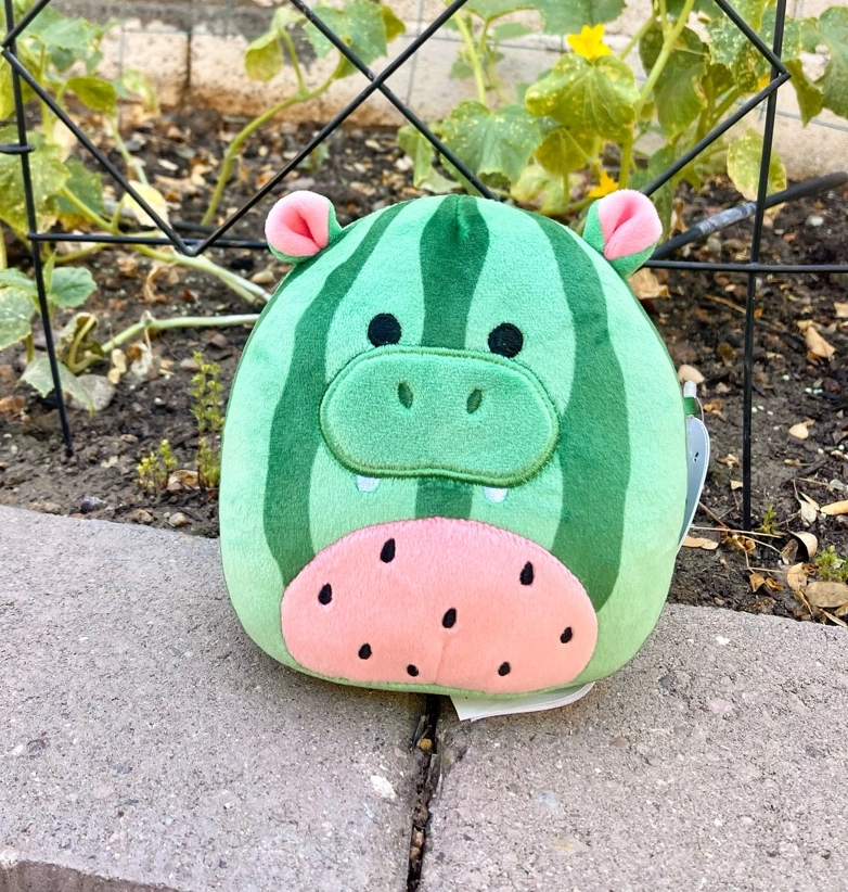 Damaris the Watermelon Hippo Squishmallows Crossover | SquadApp
