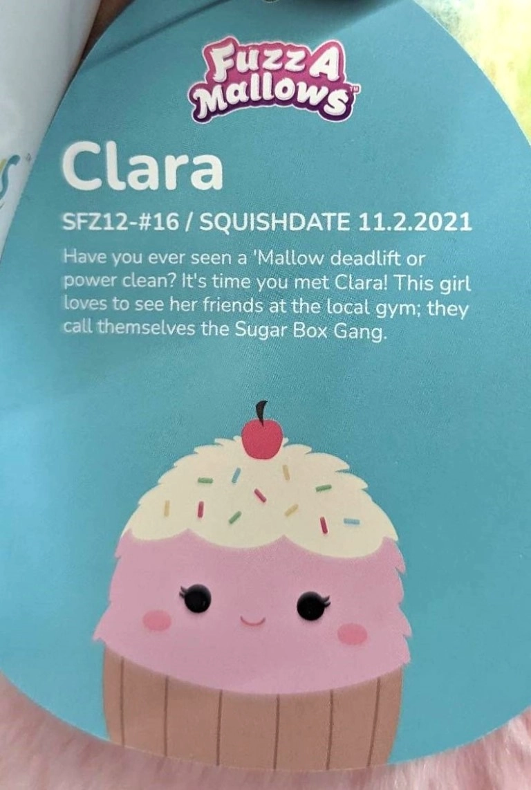 Clara (Fuzz-A-Mallows) the Cupcake Squishmallows Food | SquadApp