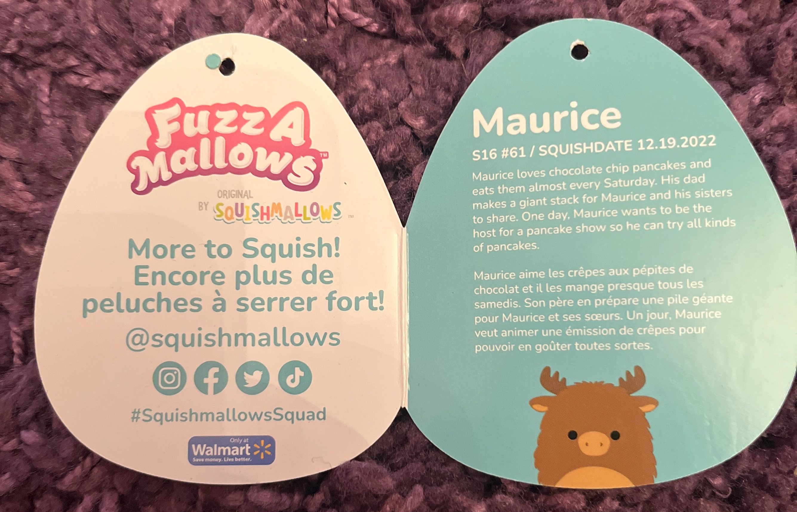 Maurice (Fuzz-A-Mallows) the Moose Squishmallows | SquadApp