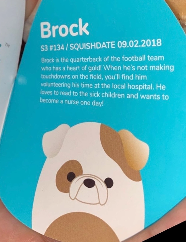 Brock the Bulldog (Dog) Squishmallows Dogs | SquadApp