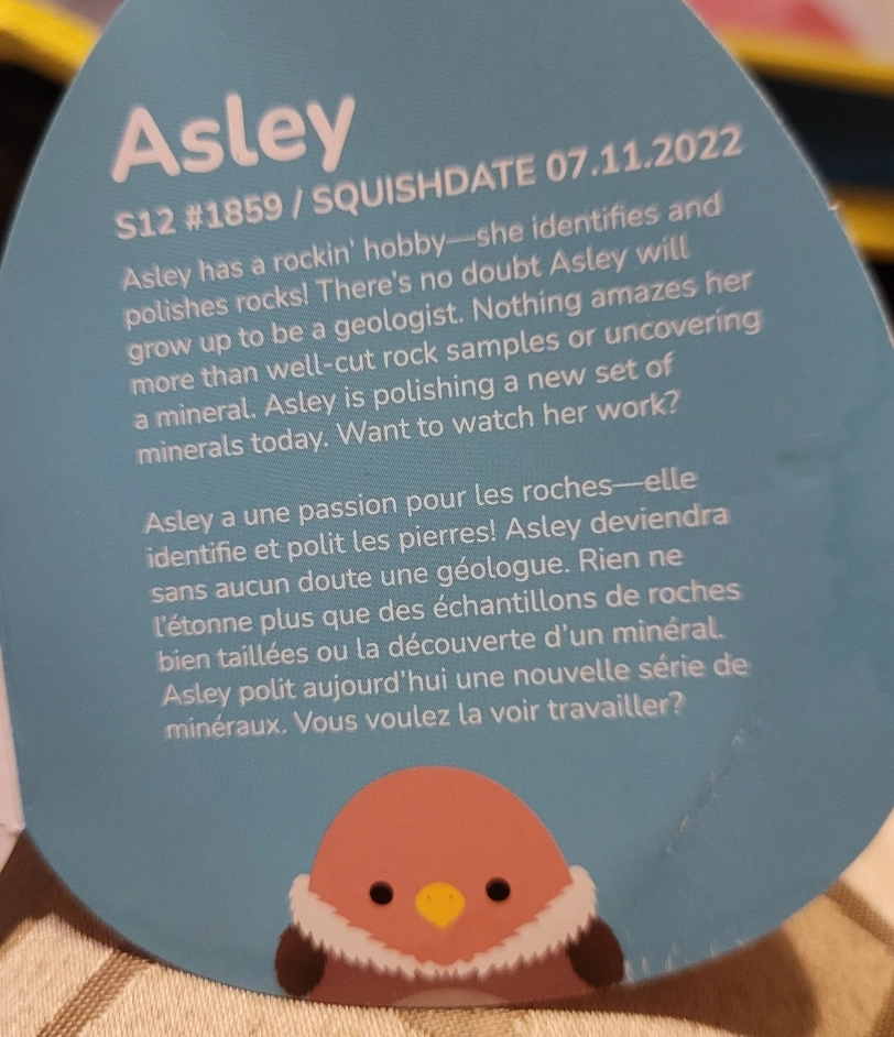 Asley the Vulture Squishmallows Desert | SquadApp
