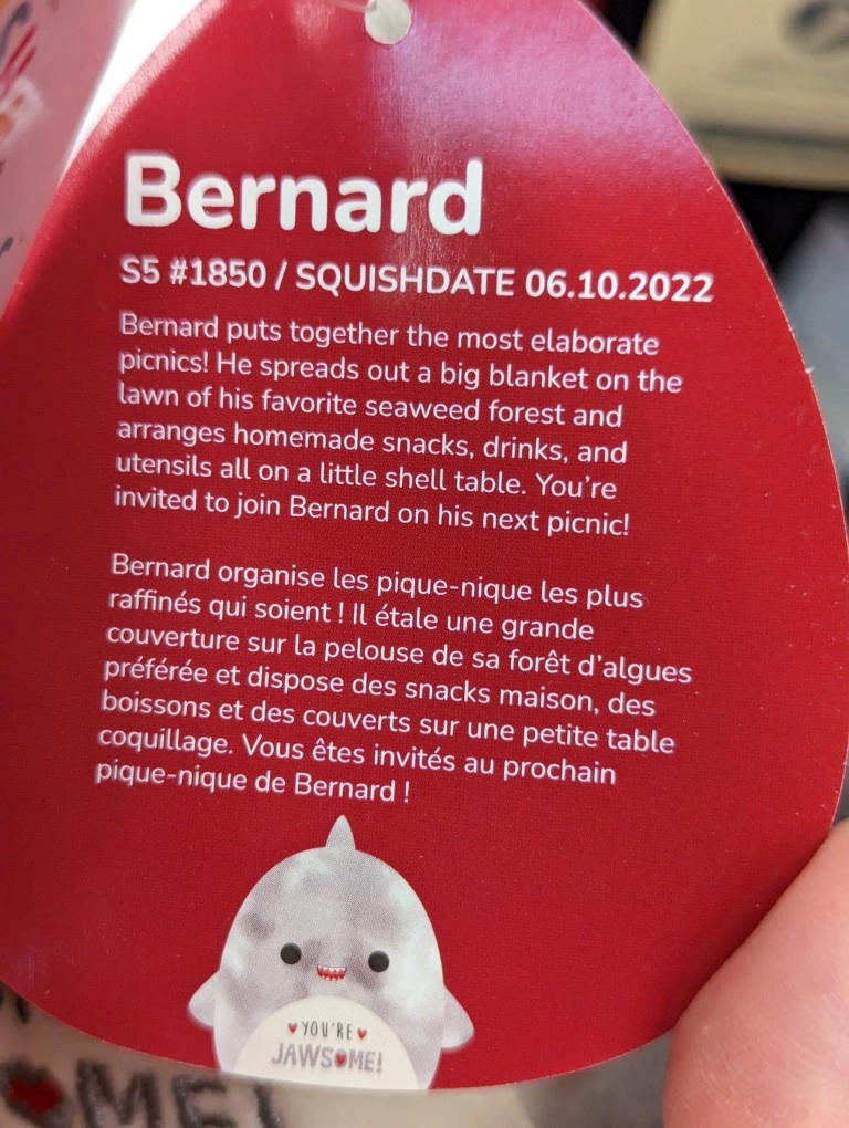 Bernard (You're Jawsome!) the Shark Squishmallows Valentines 2023 ...