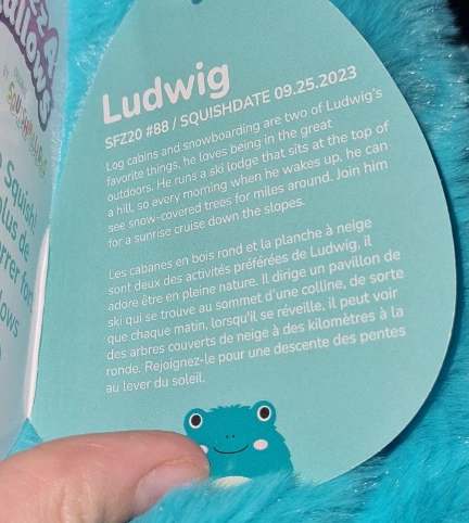 Ludwig (Fuzz-A-Mallows) the Frog Squishmallows | SquadApp