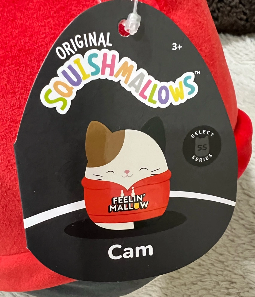 Cam (Feelin' Mallow Hoodie) the Cat Squishmallows Select Series | SquadApp