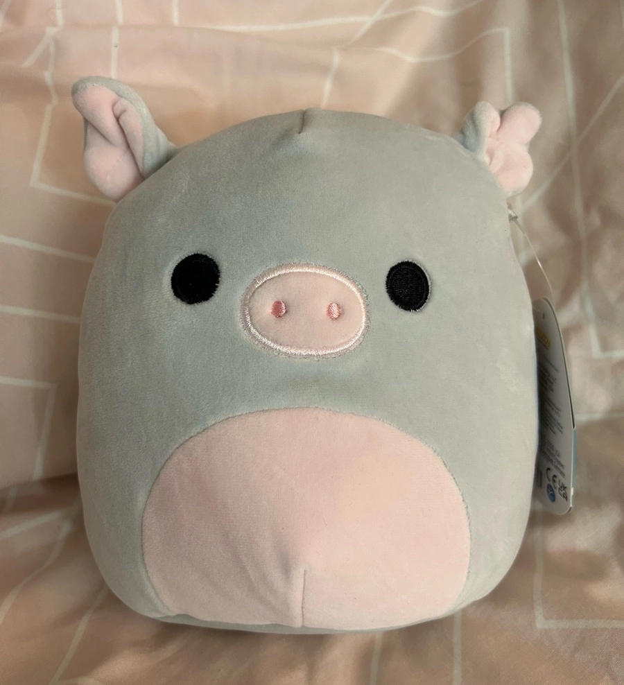 Bessa the Pig Squishmallows | SquadApp