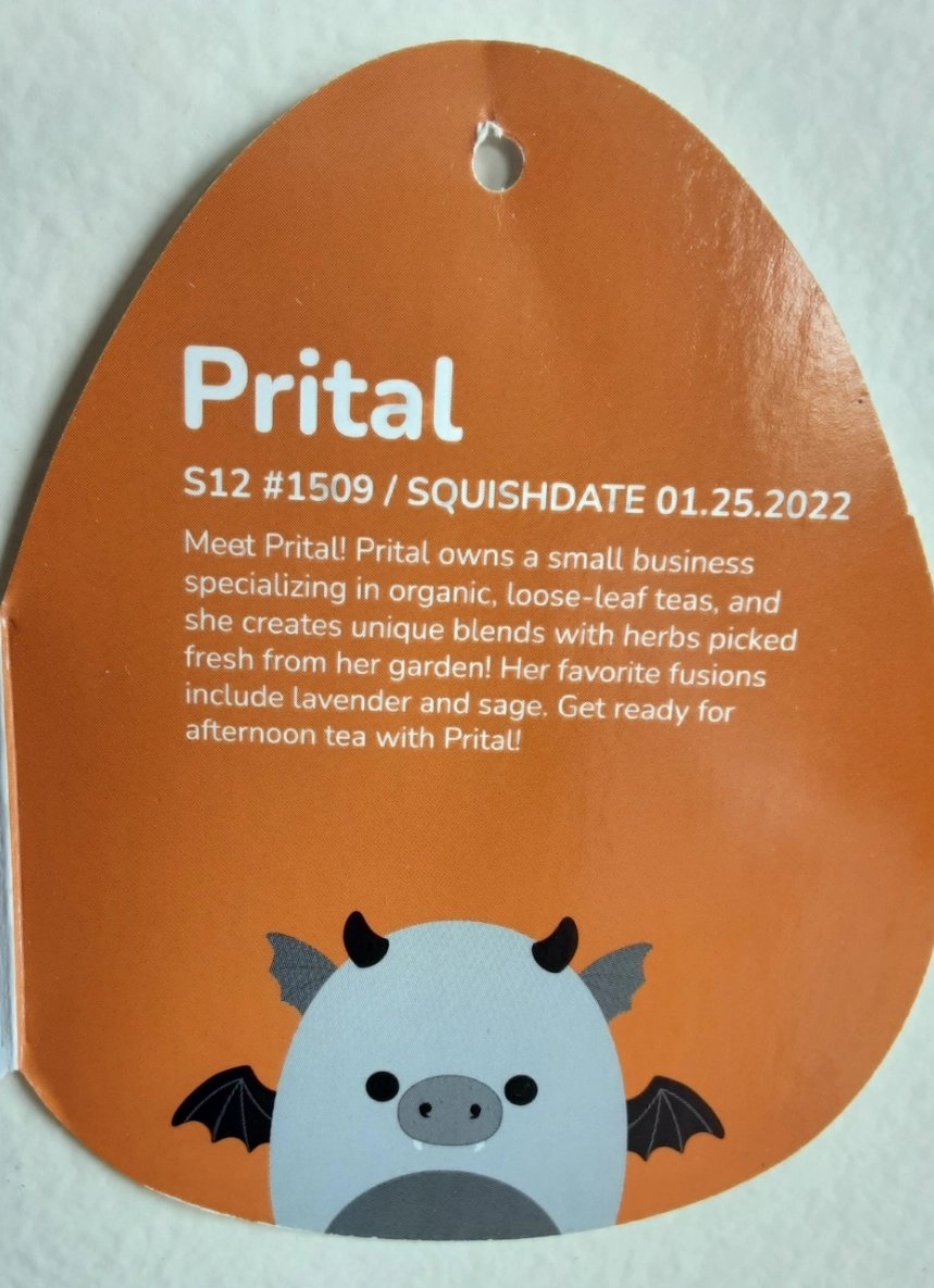 Prital the Gargoyle Squishmallows Halloween 2022 | SquadApp