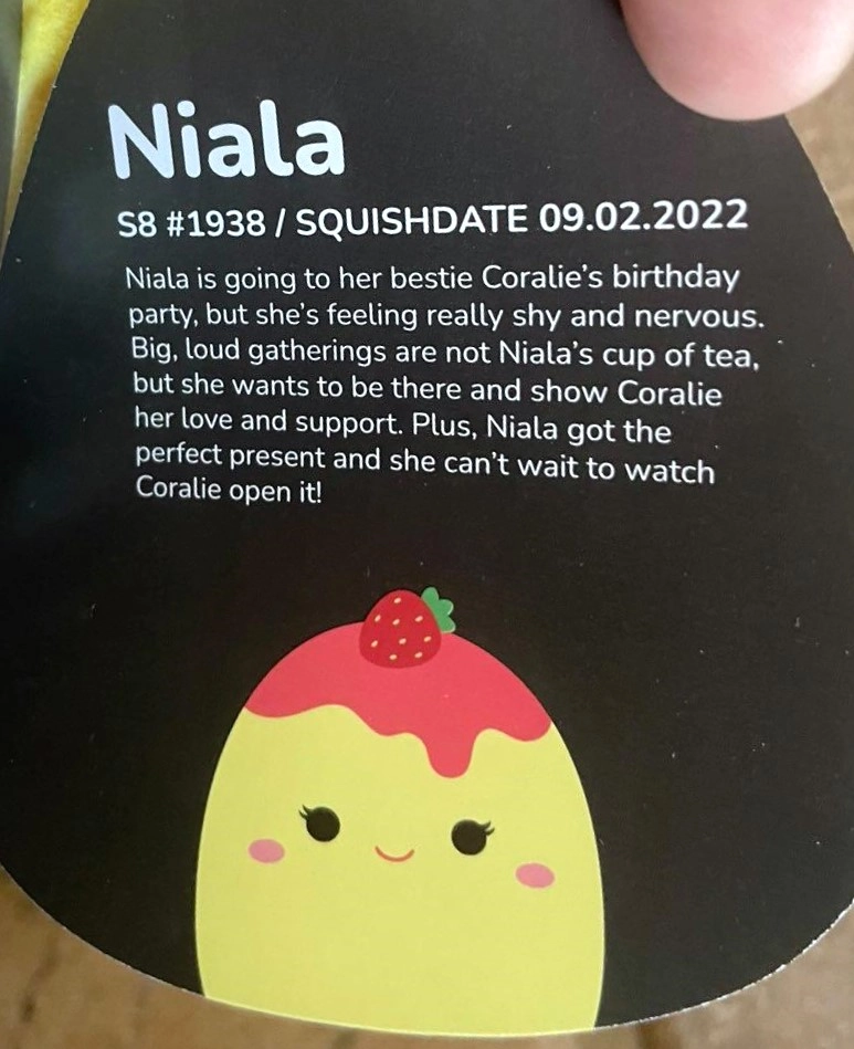 Niala the Strawberry Cheesecake Squishmallows Select Series | SquadApp
