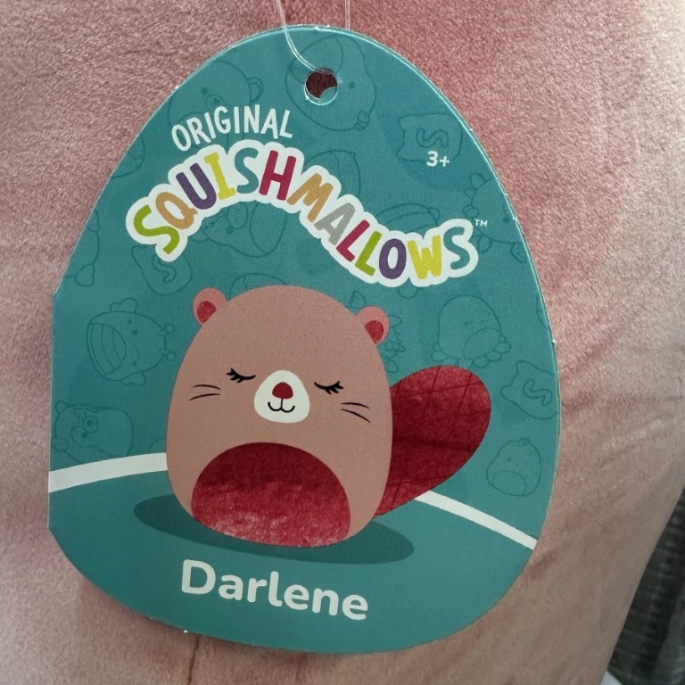 Darlene the Beaver Squishmallows Velvet | SquadApp