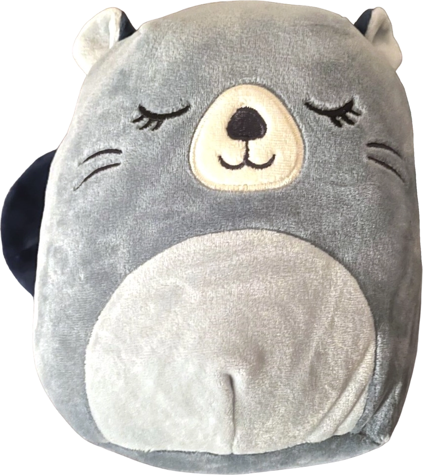 River the Beaver Squishmallows Wildlife | SquadApp