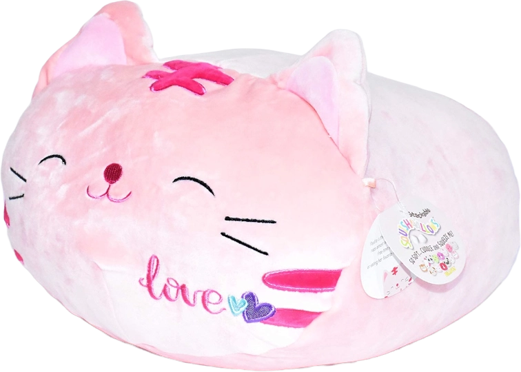 Paulita the Cat Squishmallows Valentine | SquadApp