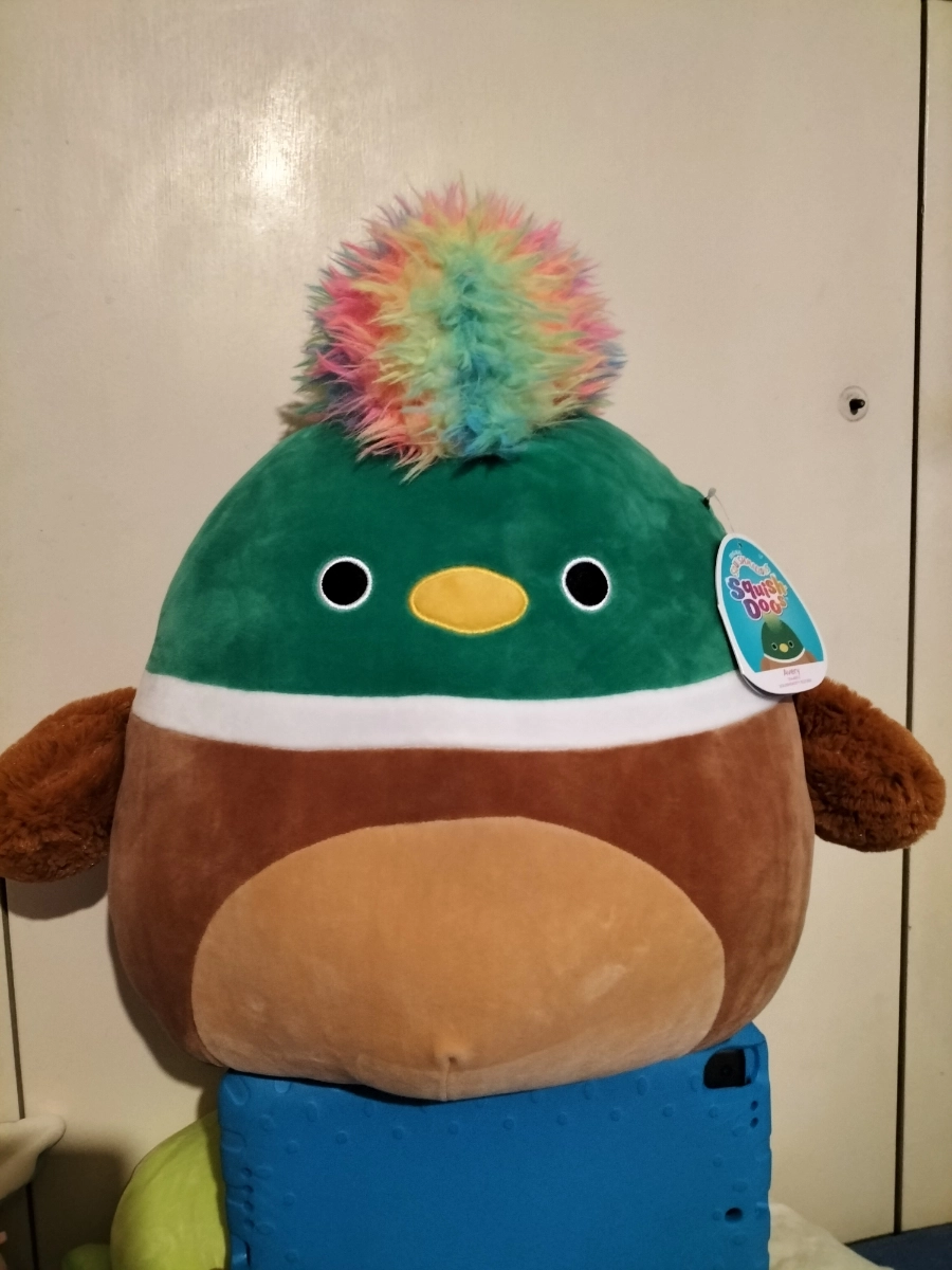Avery (Mohawk Squish-Doo) the Duck Squishmallows Squish-Doo | SquadApp