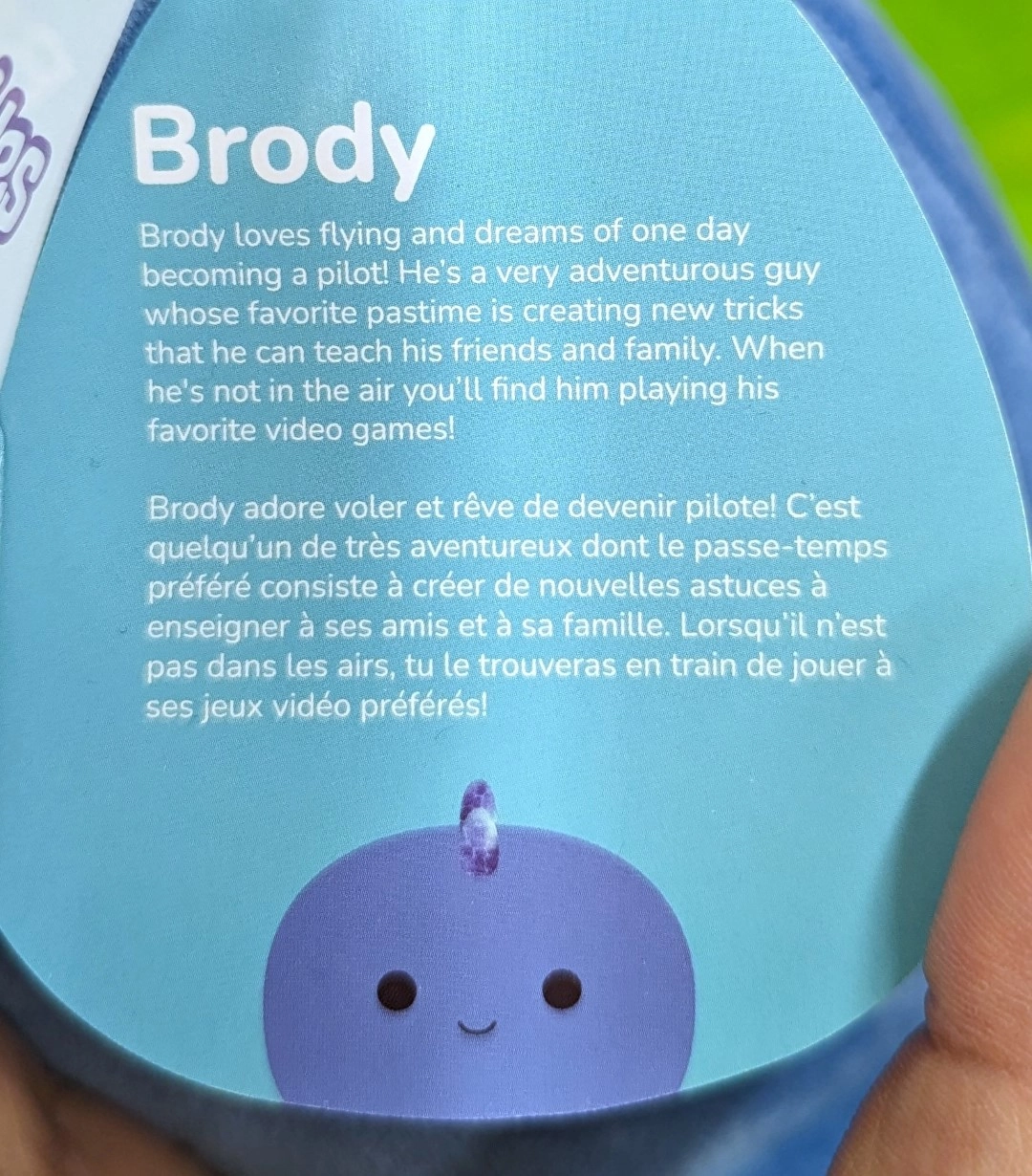 Brody the Dinosaur Squishmallows | SquadApp