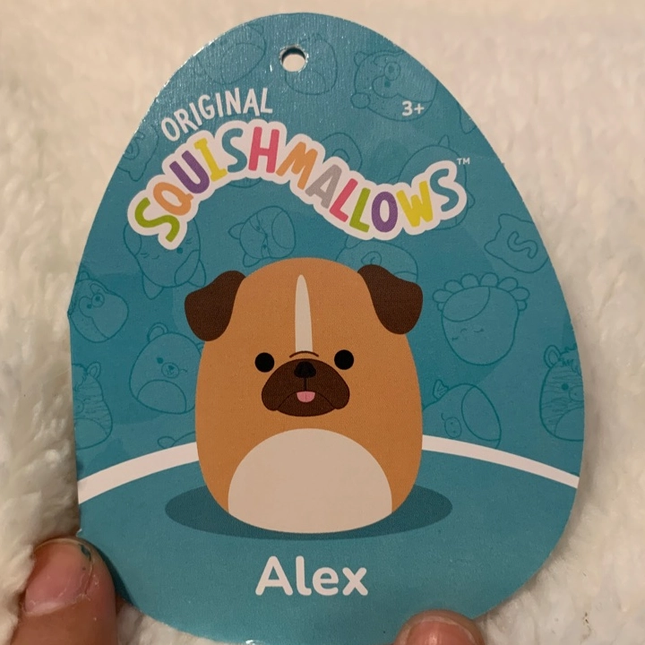 Alex the Bulldog (Dog) Squishmallows | SquadApp