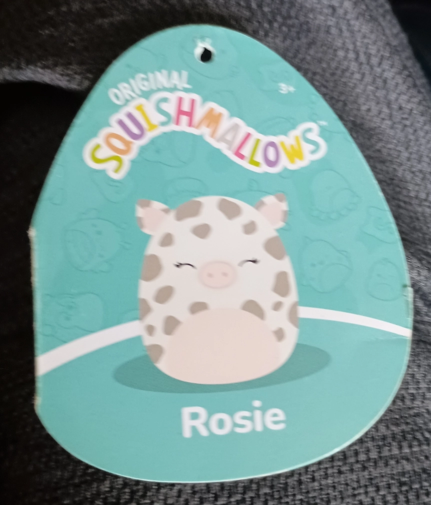 Rosie (Closed Eyes) the Pig Squishmallows | SquadApp