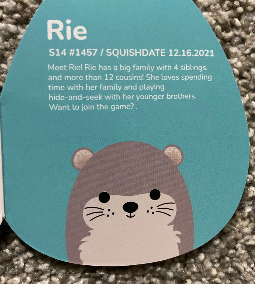 Rie the Otter Squishmallows Sealife | SquadApp