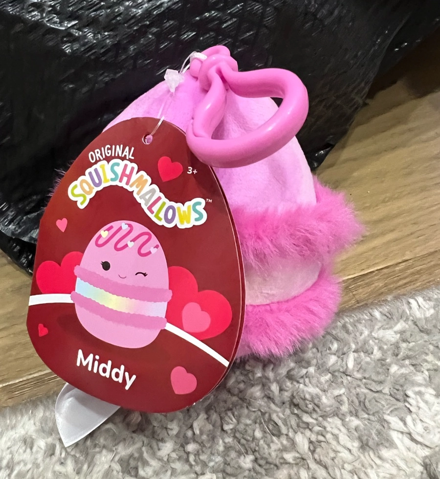 Middy the Macaron Squishmallows Valentines 2024 | SquadApp