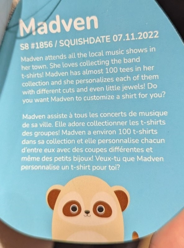 Madven the Meerkat Squishmallows Desert | SquadApp
