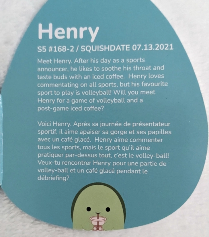 Henry (Drink) the Turtle Squishmallows Foodie Friends | SquadApp