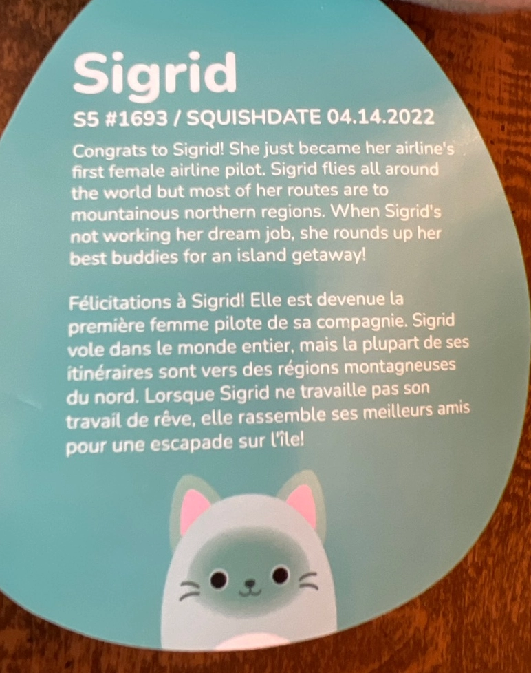 Sigrid the Siamese Cat Squishmallows Pets, 5B 4.30.23 | SquadApp
