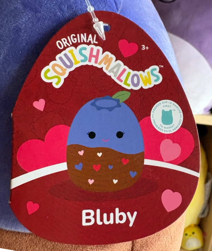 Bluby (Chocolate Dipped) the Blueberry Squishmallows Valentines 2025 ...