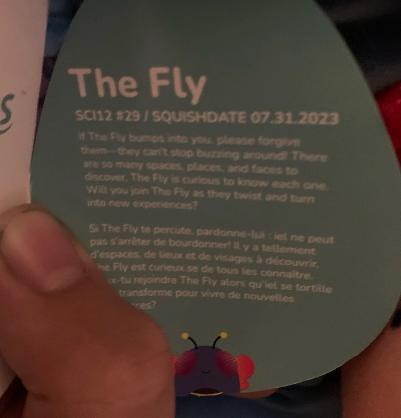 The Fly the Fly Squishmallows Check-In Series | SquadApp