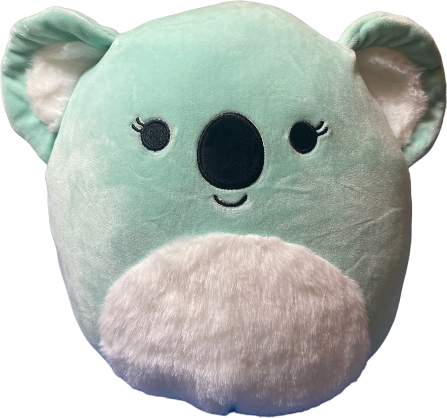 Coco (Fuzzy Belly, Ears) the Koala Squishmallows | SquadApp