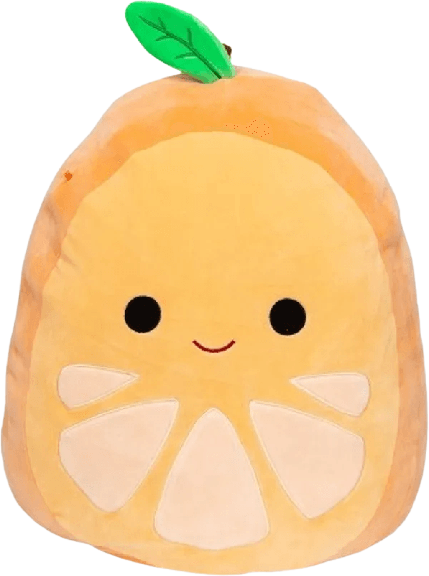 Orin the Orange Squishmallows Fruit | SquadApp