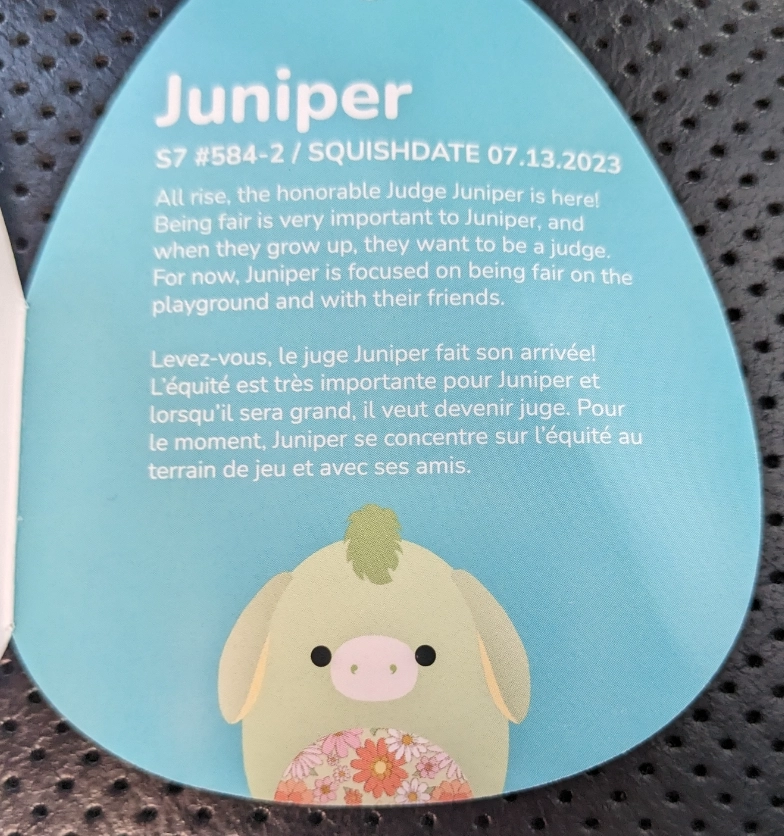 Juniper (Floral Belly) the Donkey Squishmallows 5B 3.24.24 | SquadApp