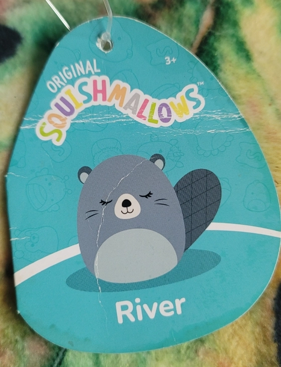 River the Beaver Squishmallows Wildlife | SquadApp
