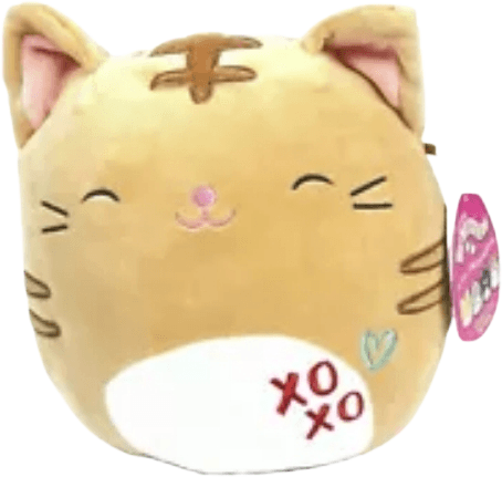 Nathan (XOXO) the Cat Squishmallows Valentine | SquadApp