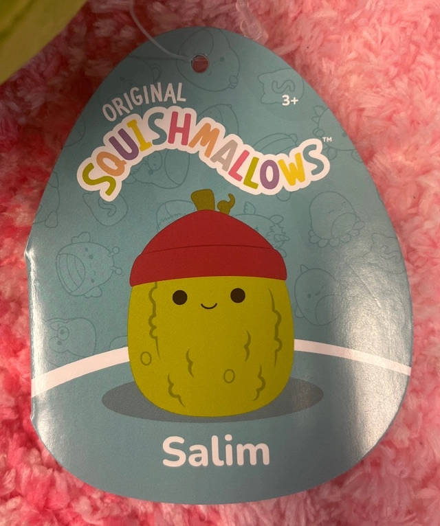 Salim the Pickle Squishmallows Fall Food | SquadApp