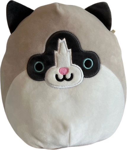 Nancy the Cat Squishmallows | SquadApp