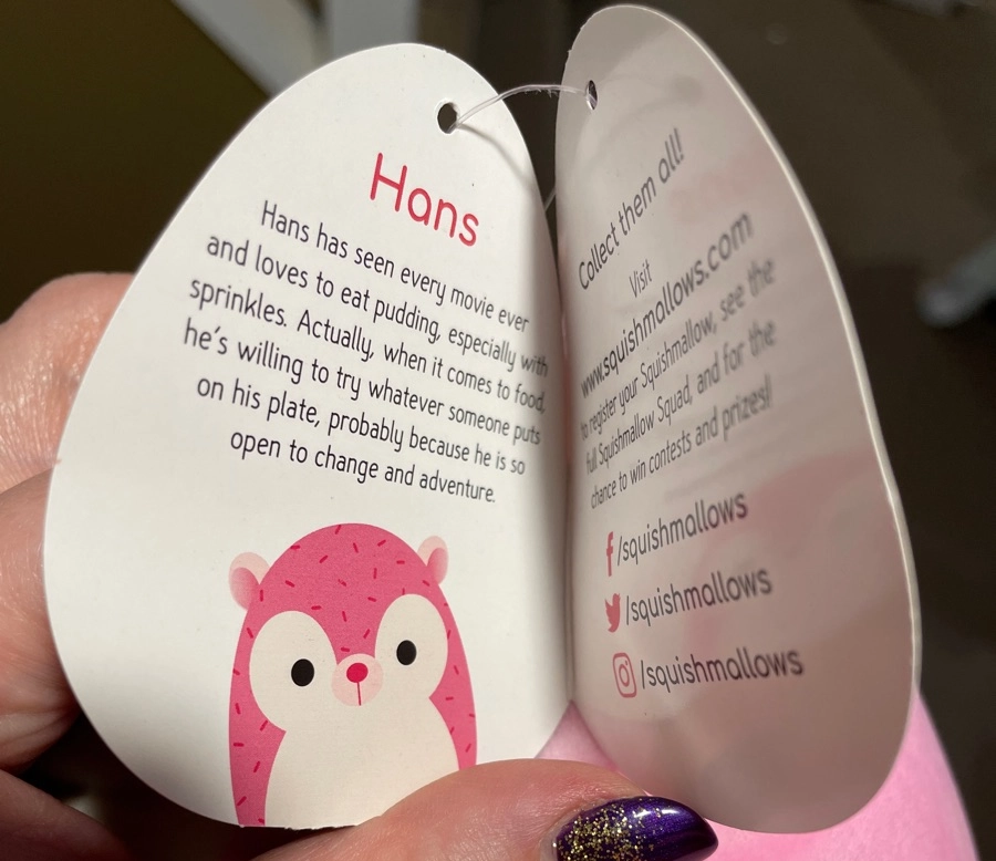 Hans (Pink/Bright) the Hedgehog Squishmallows Bright | SquadApp