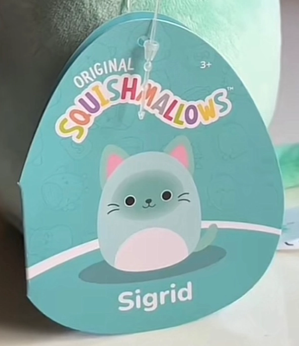 Sigrid the Siamese Cat Squishmallows Pets, 5B 4.30.23 | SquadApp