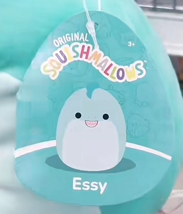 Essy the Eel Squishmallows Sea Friends, 5B 5.21.23 | SquadApp