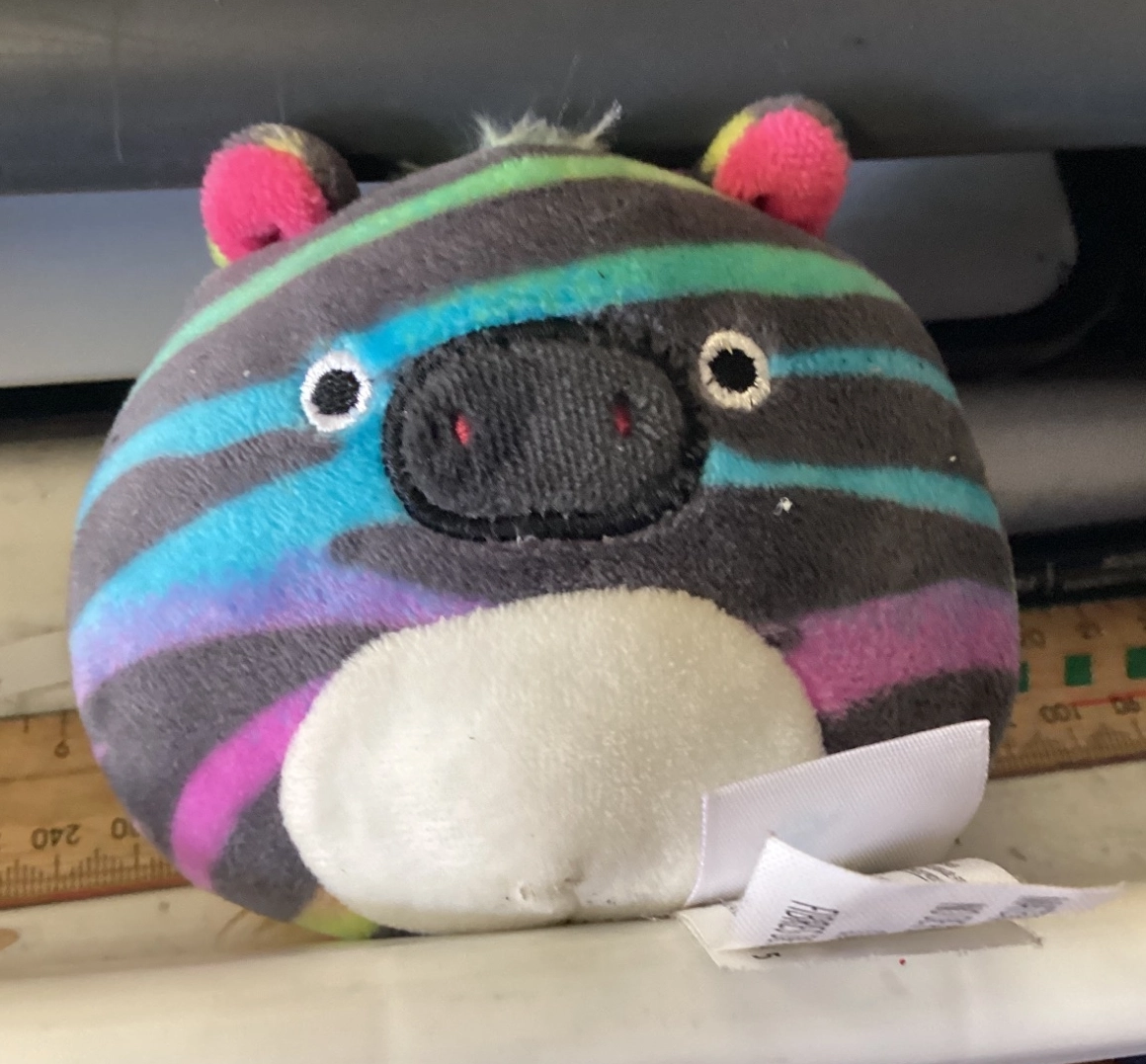 Safiyah the Zebra Squishmallows Colorful Crew | SquadApp