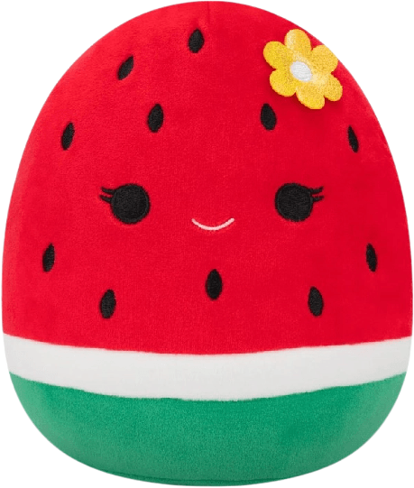 Winsey (Flower) the Watermelon Squishmallows | SquadApp